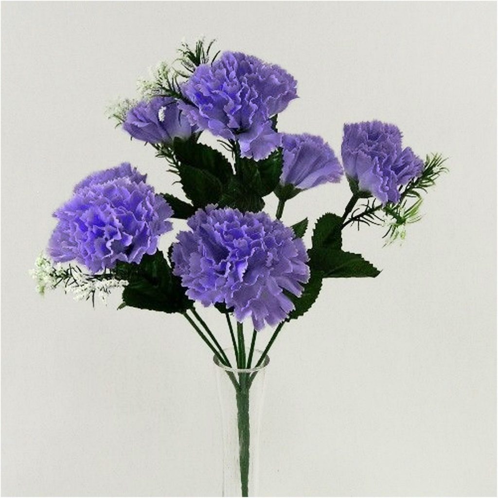 LILAC CARNATION BUSH | SIX ASHES NURSERIES